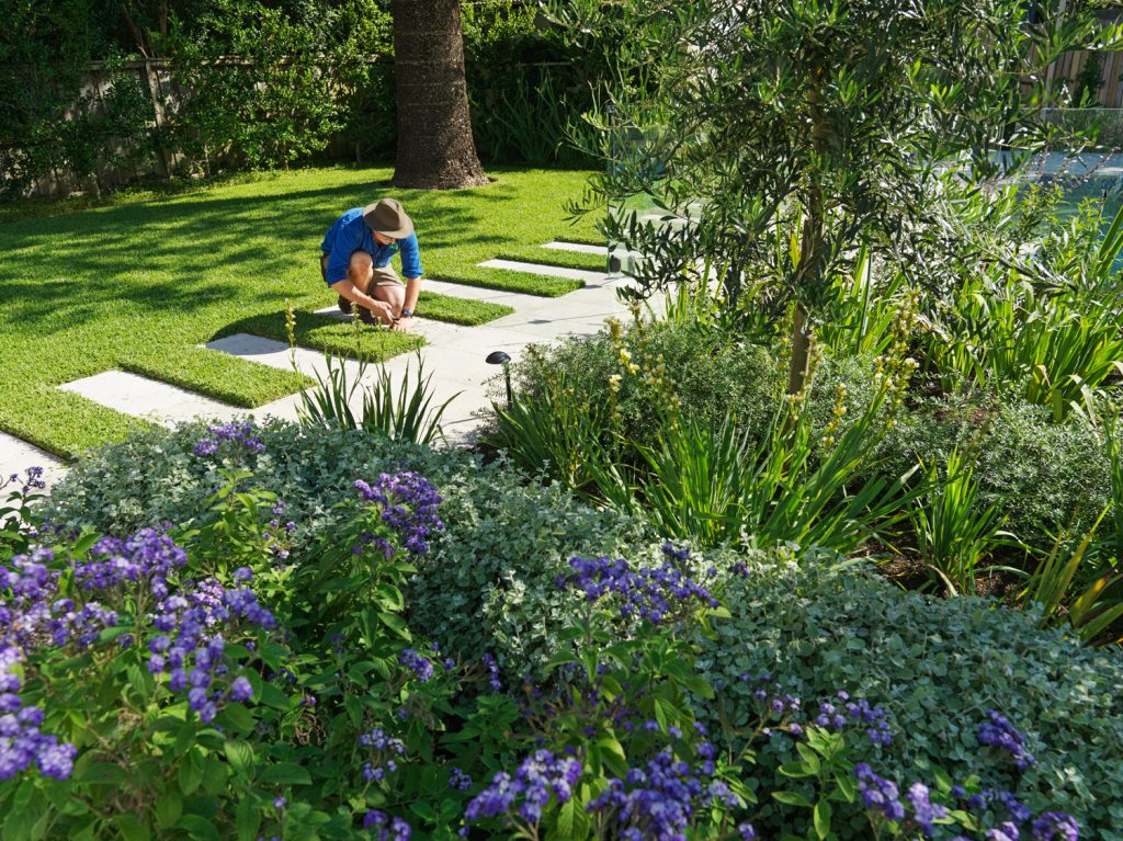 Gardening during Isolation - Pepo Botanic Design