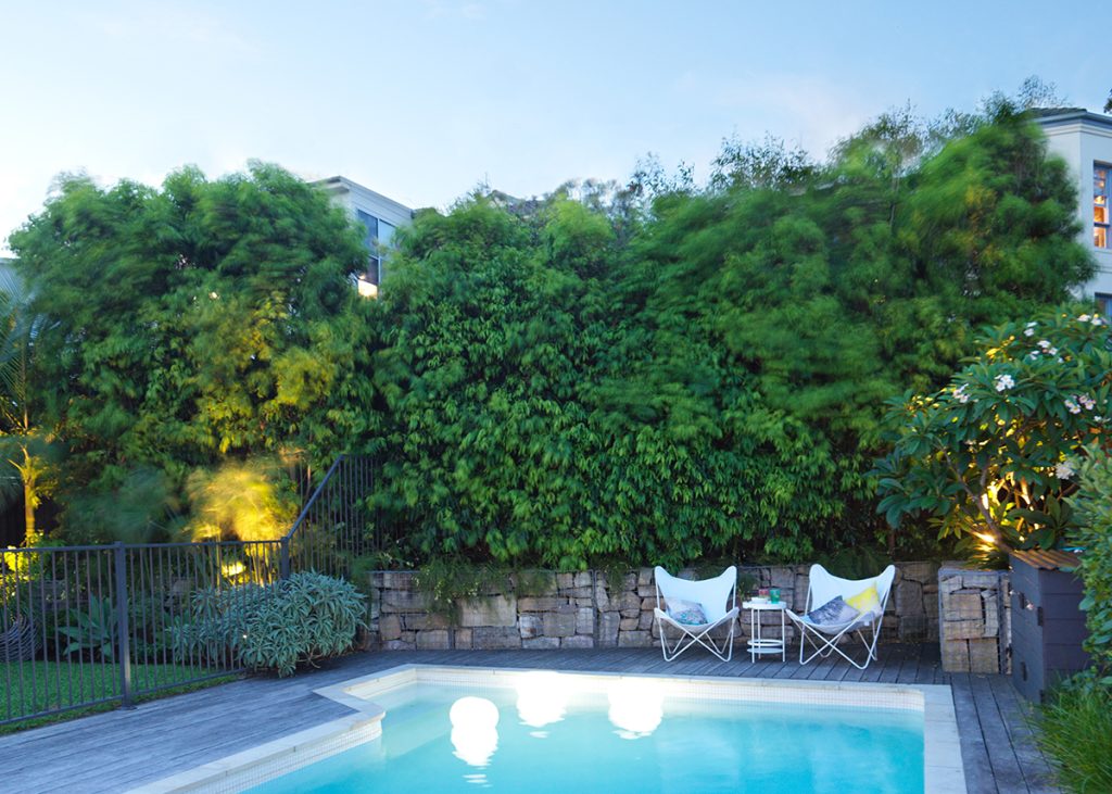 Maroubra: A Case Study - Pepo Botanic Design