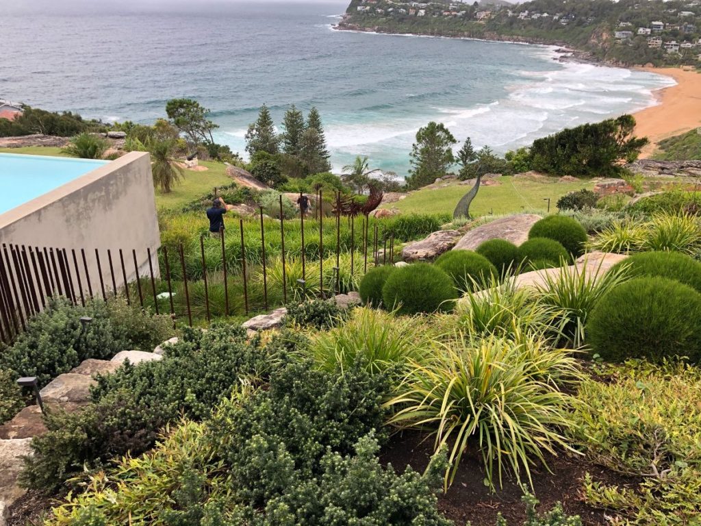 Outcrop House: A Case Study - Pepo Botanic Design